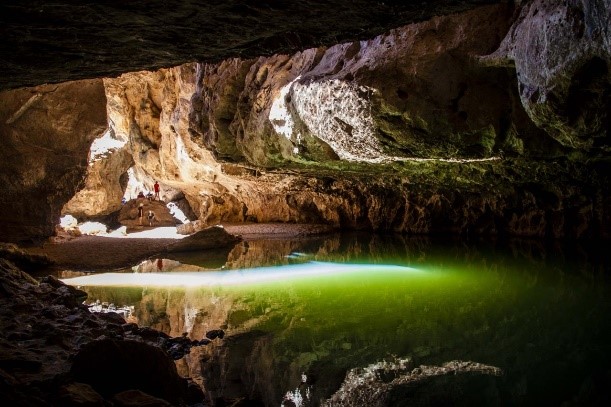 WA Government Jobs | Clinical Nurse/Staff Development Nurse